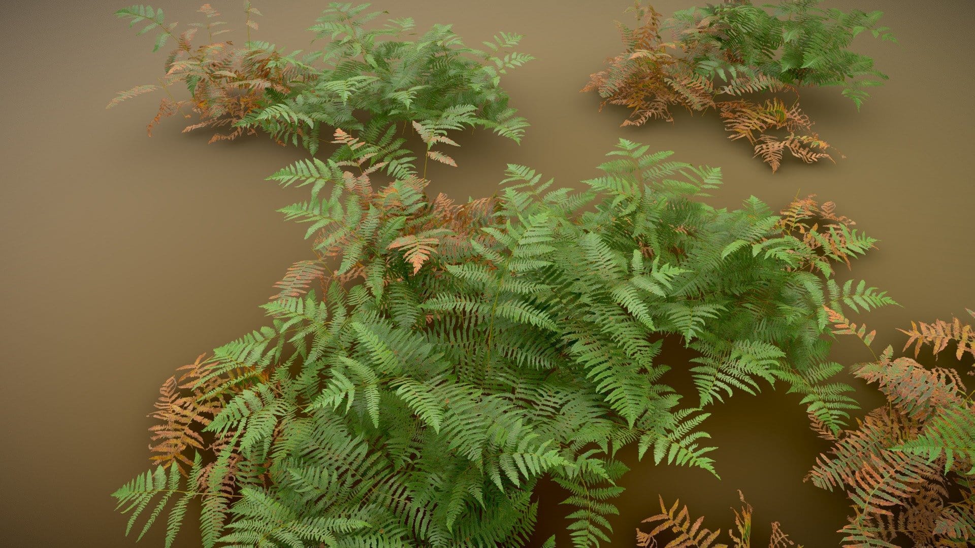 Fern Forest Realistic PBR Set Collection - deep3dsea