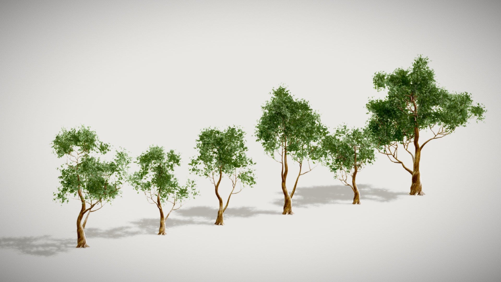 Low Poly Tree Pack 01 - deep3dsea