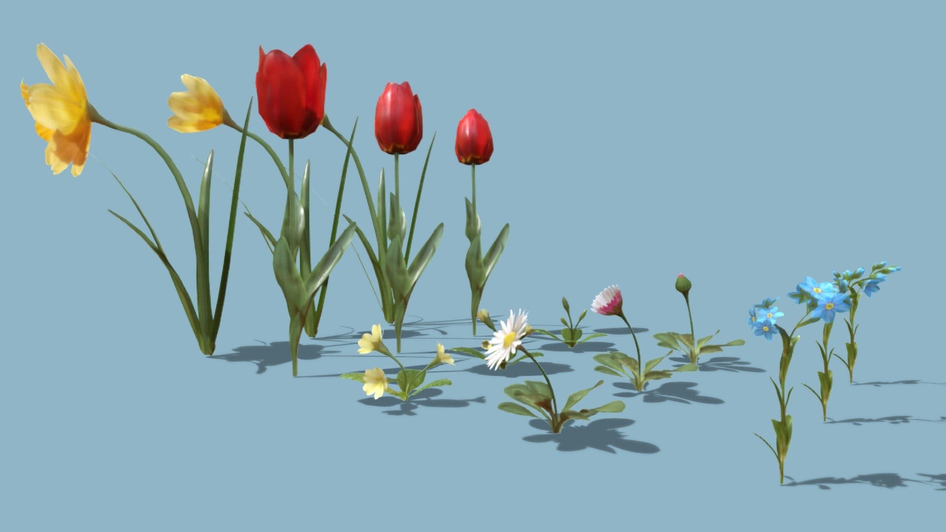 Blooming Flowers Pack - deep3dsea