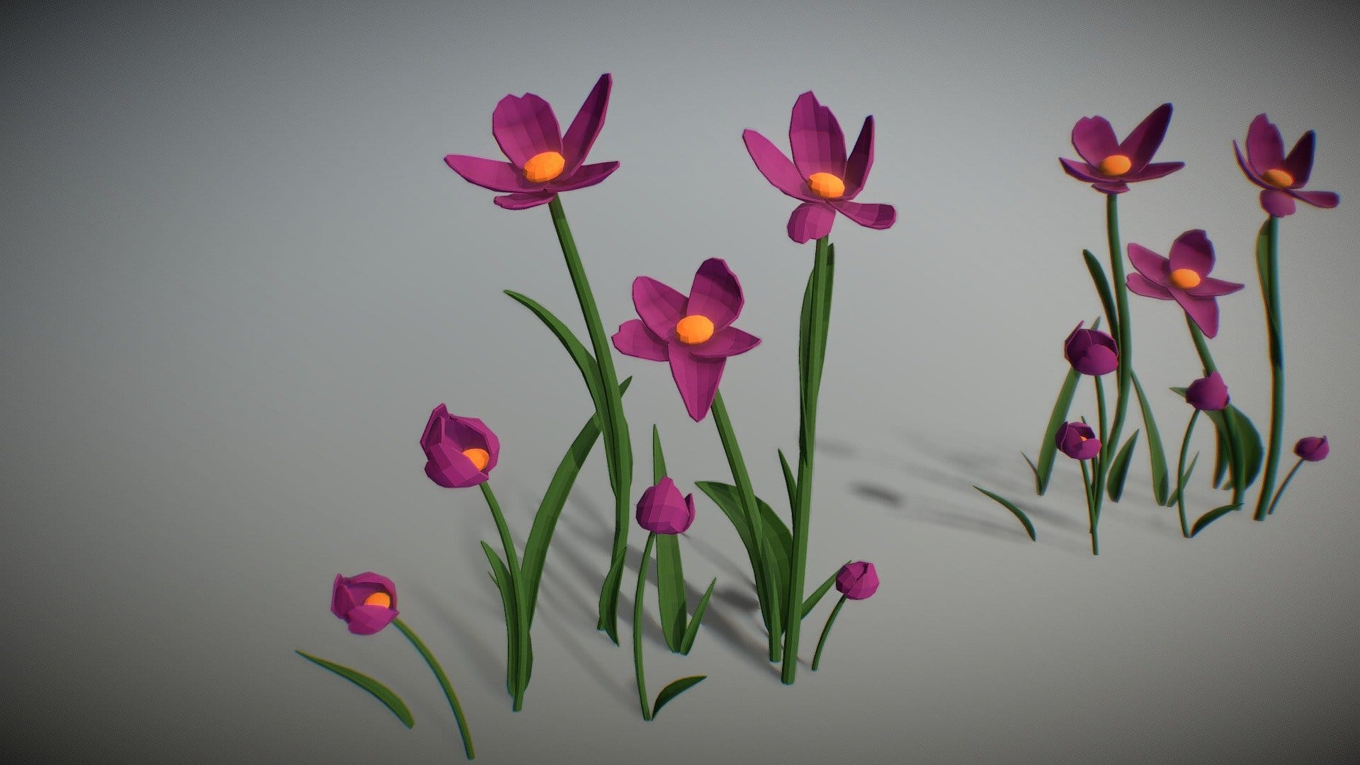 Flower 1 Low Poly - deep3dsea