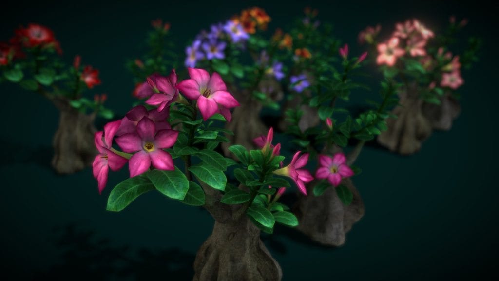 Flower Adenium - deep3dsea