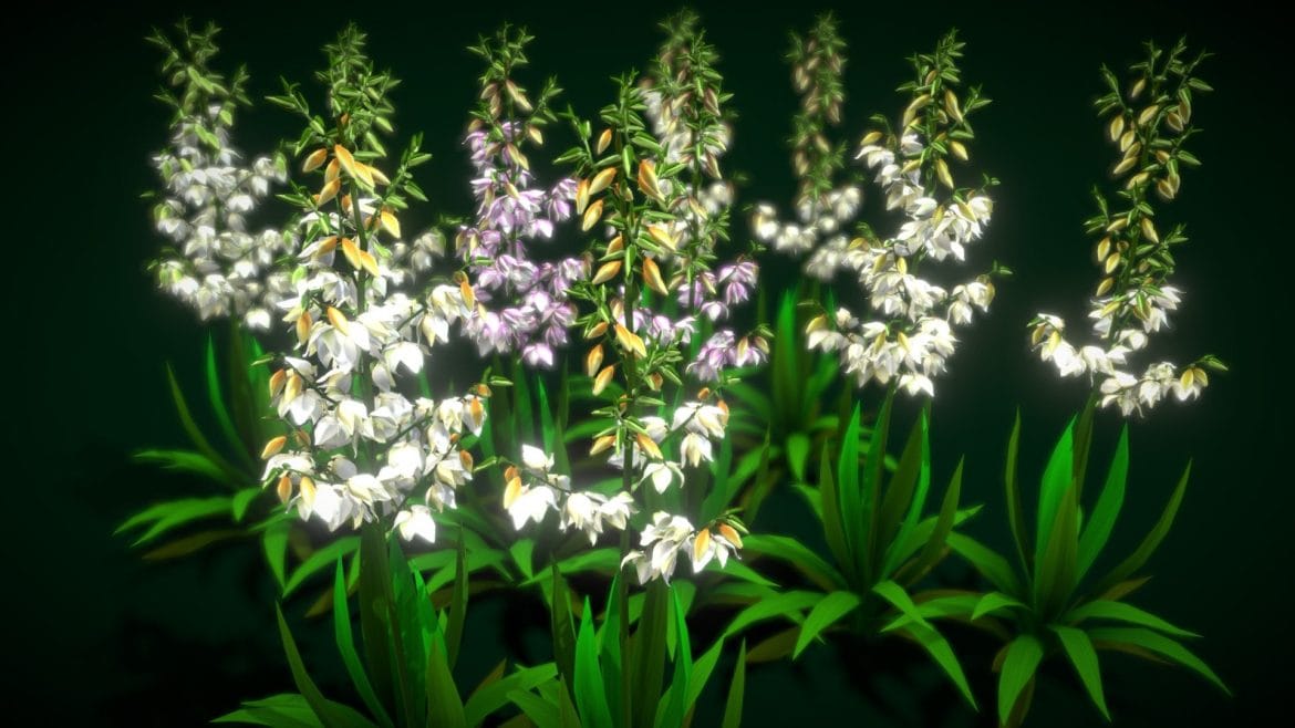 Flower EL Salvador - deep3dsea