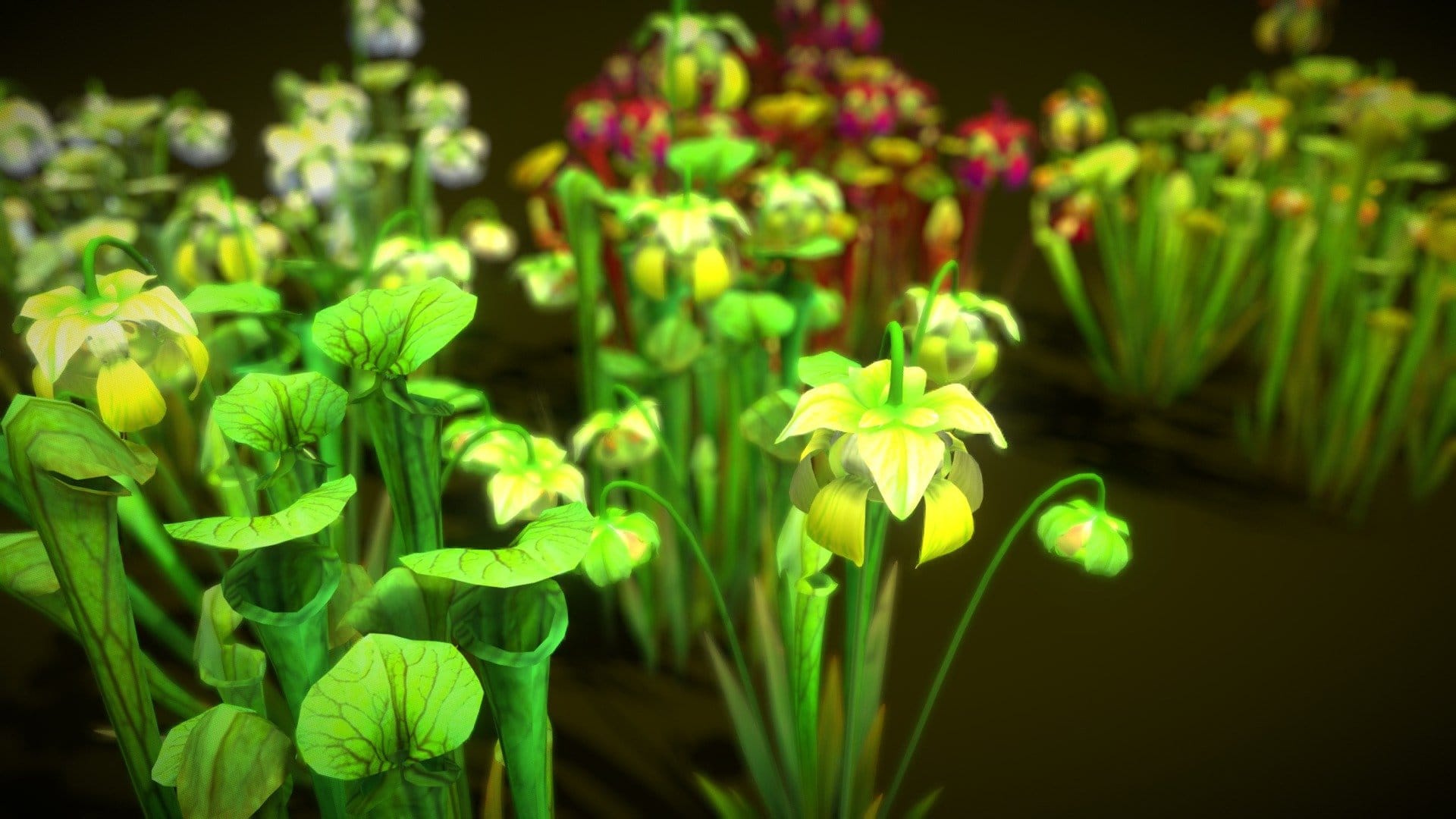 Flower Green Pitcher - deep3dsea