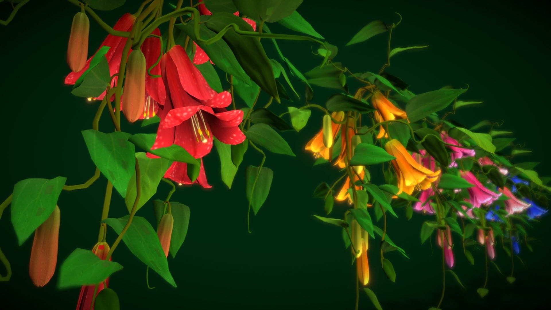 Flower Lapageria - deep3dsea