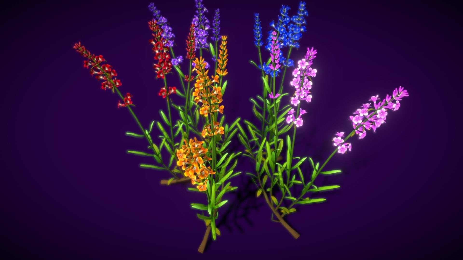 Flower Lavandula - deep3dsea