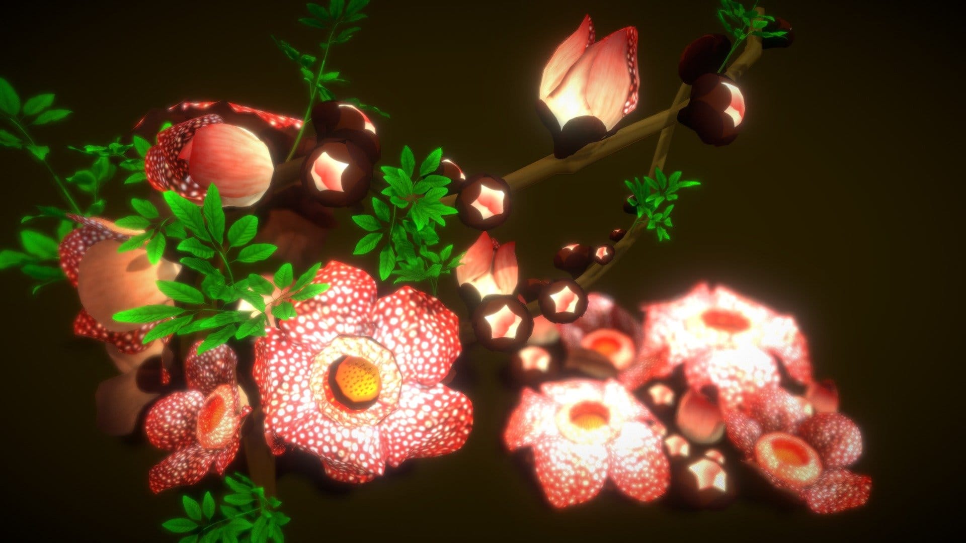 Flower_Rafflesia arnoldii - deep3dsea