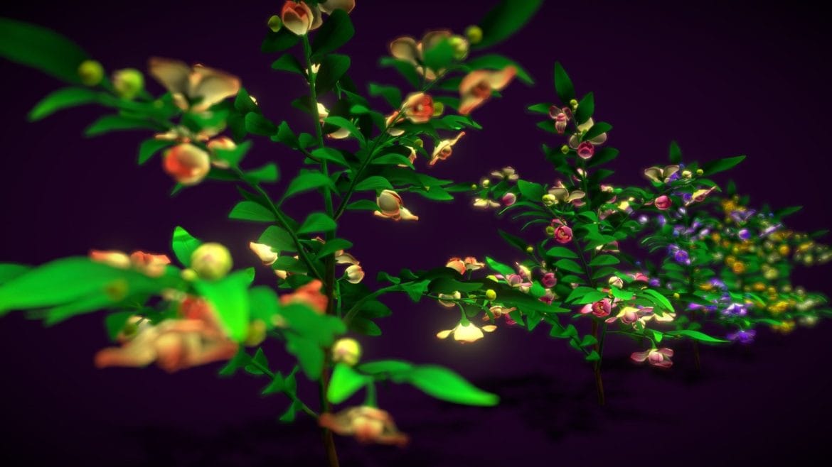 Flower Rumdul - deep3dsea