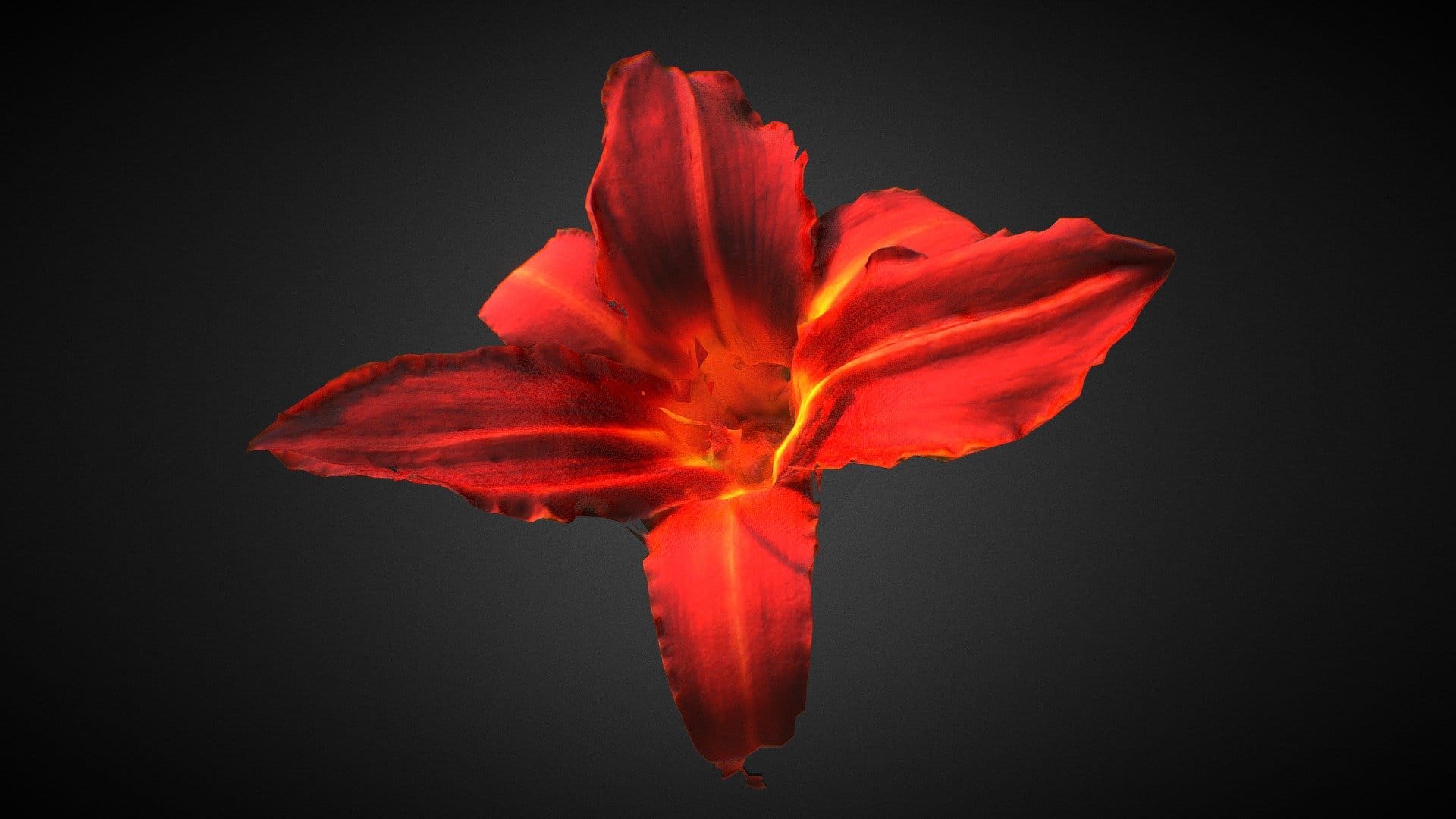 Flower Test - deep3dsea