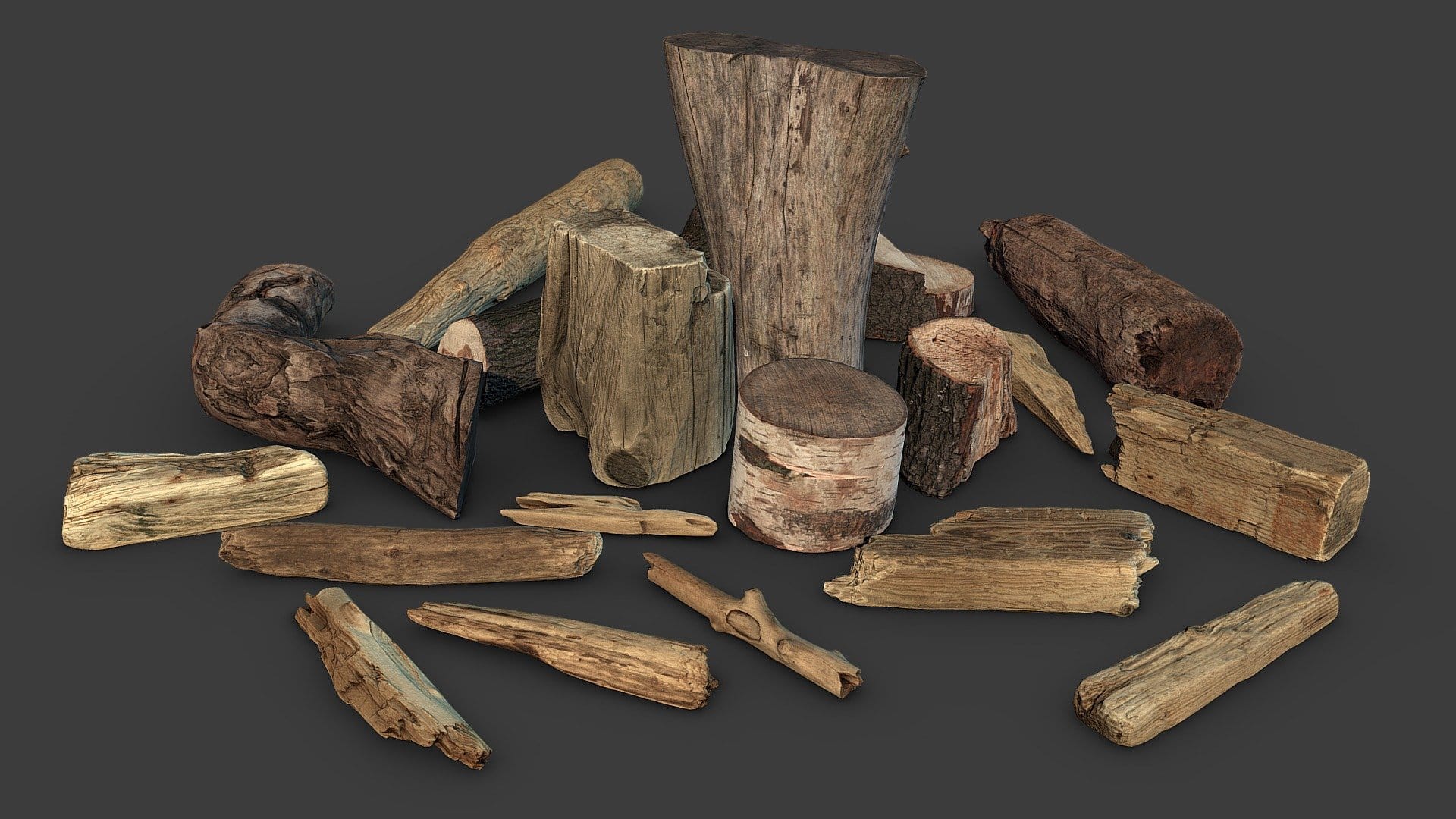 Scanned Logs Planks Sticks and Stumps - deep3dsea