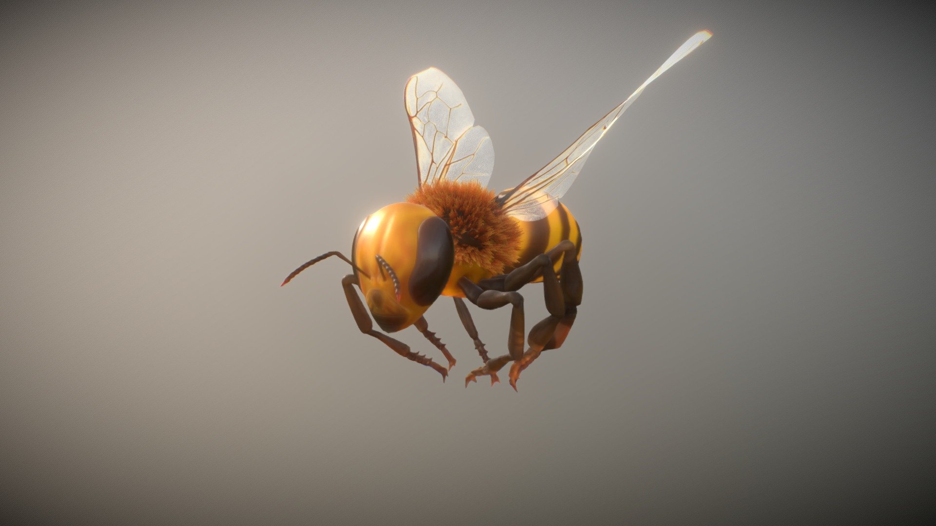 Bee Animation test - deep3dsea