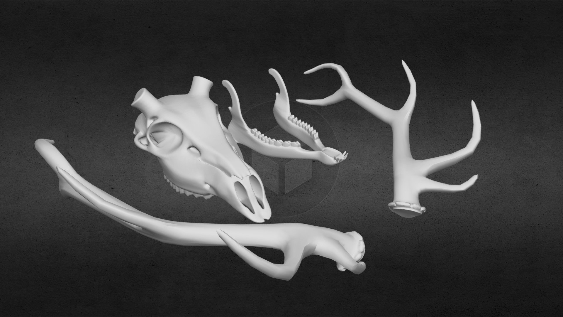 Elk Skull [For 3D Print] - deep3dsea