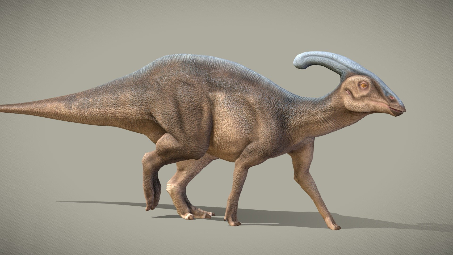 Download Parasaurolophus Walkeri 3D Model | deep3dsea