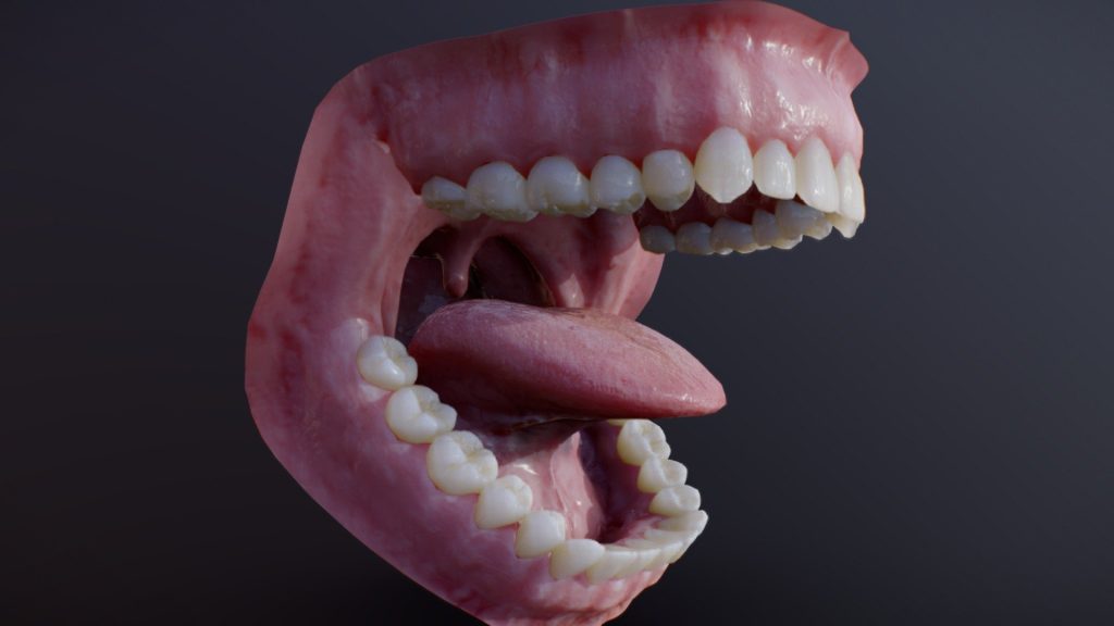 Download Photorealistic Human Mouth 3D Model | Deep3DSea