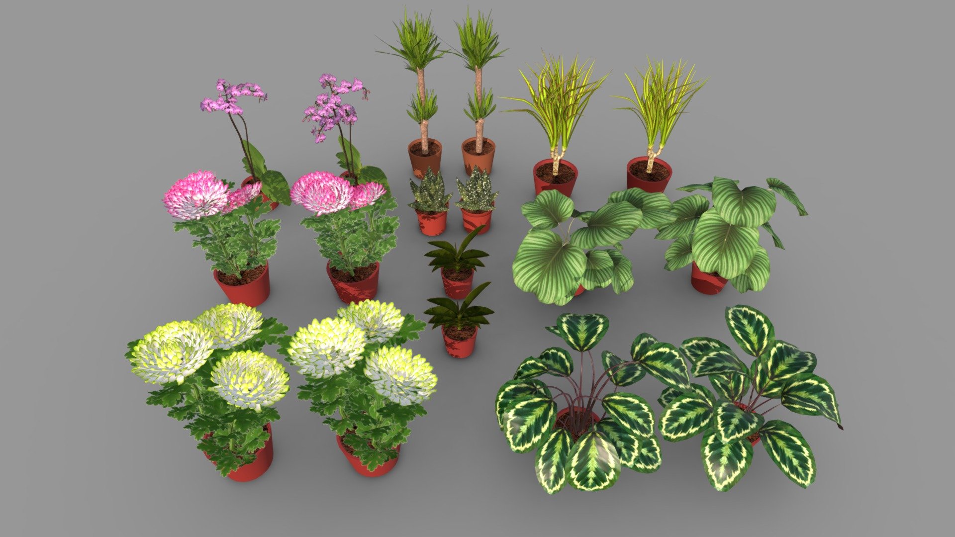 PLANTS PACK - deep3dsea
