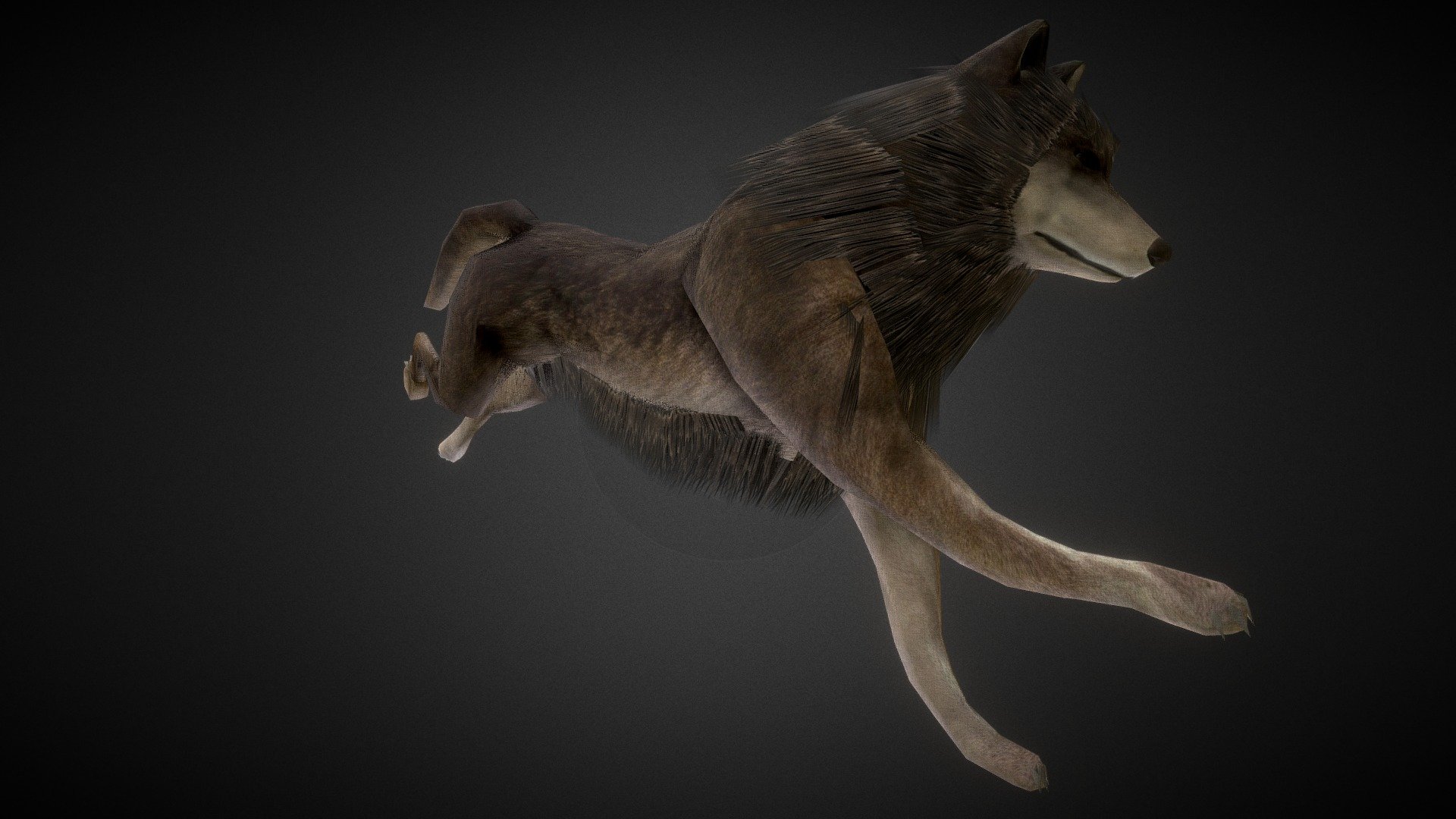 Rigged Wolf Low-poly and Game-Ready - deep3dsea