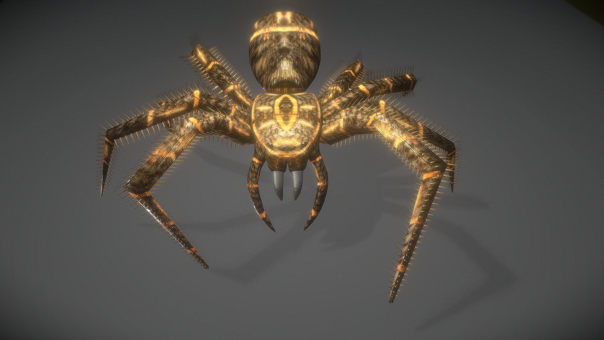 Spider Animations - deep3dsea