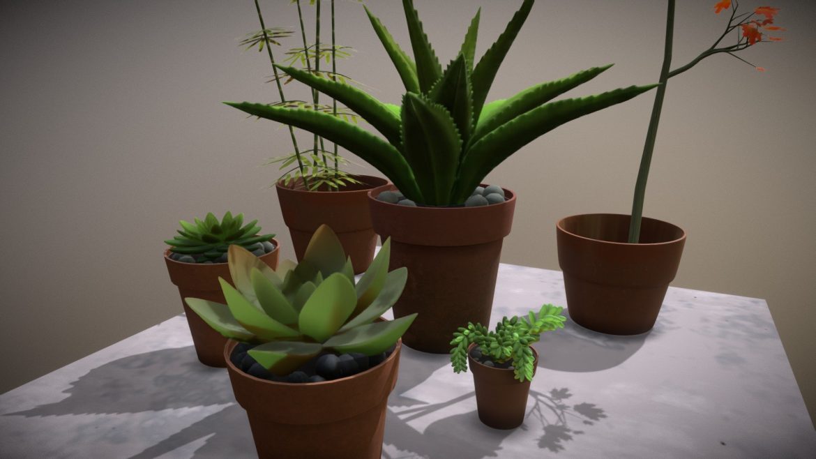 Succulent Plants Obj - deep3dsea