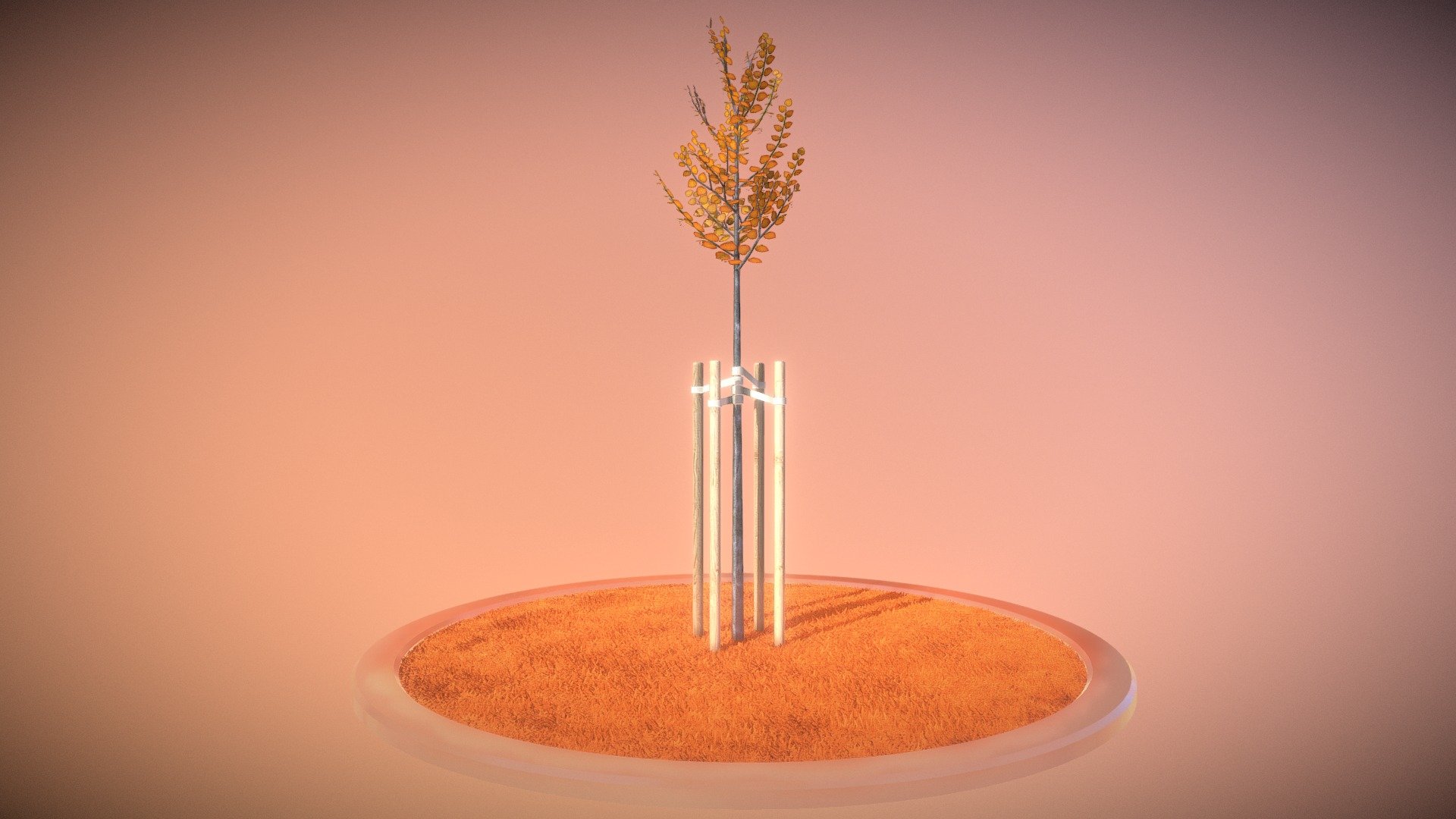 Download Tilia Tree 2 Meters In Autumn Season 3D Model | Deep3DSea