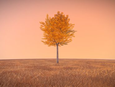 6-meter Archives - deep3dsea