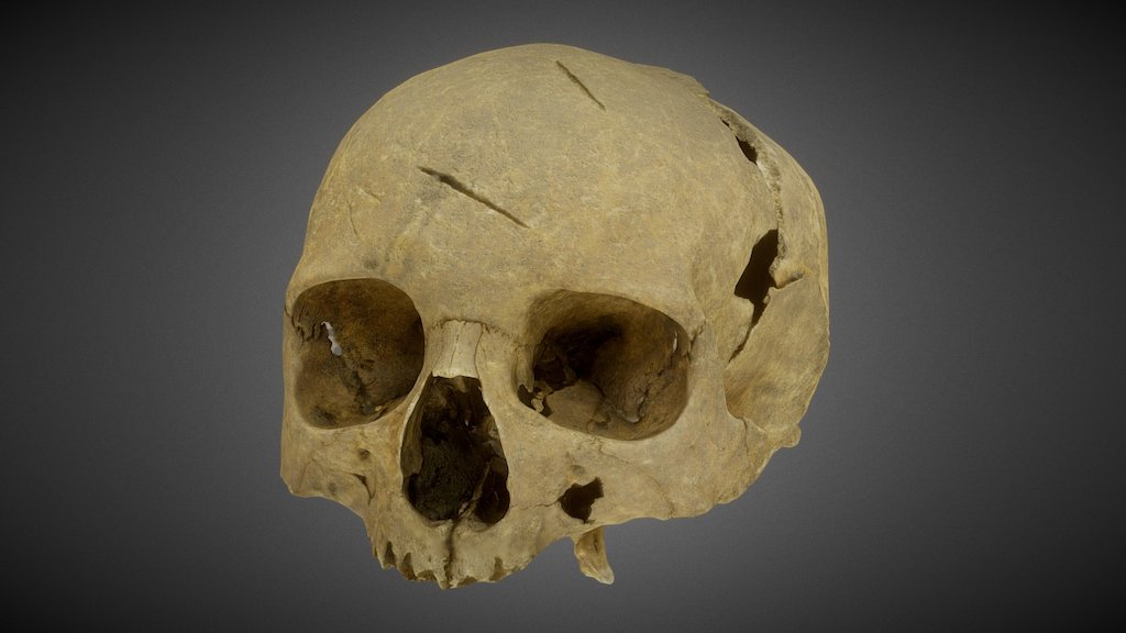 Female skull injured by a medieval sword - deep3dsea