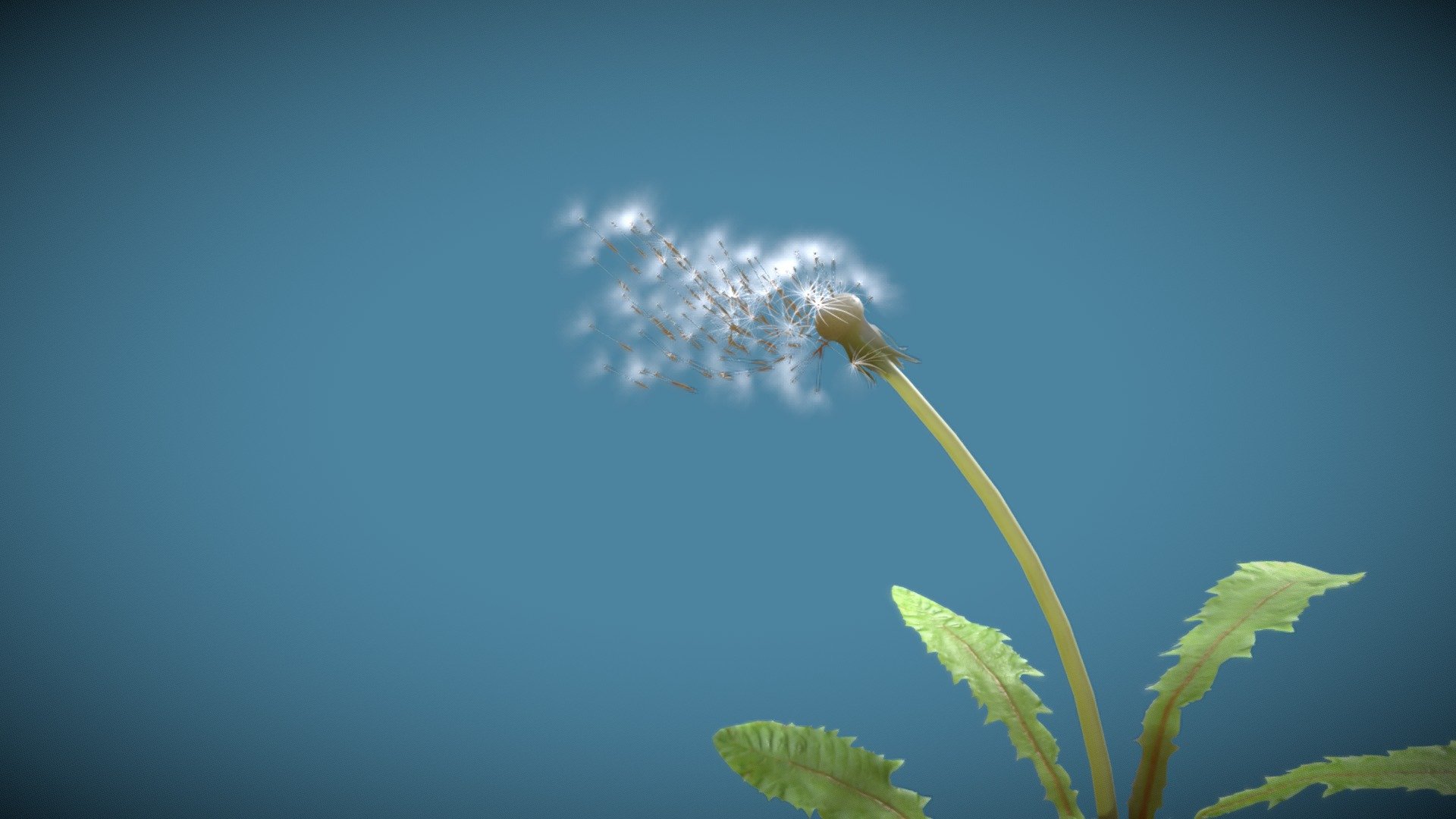 Dandelion in the Wind - deep3dsea