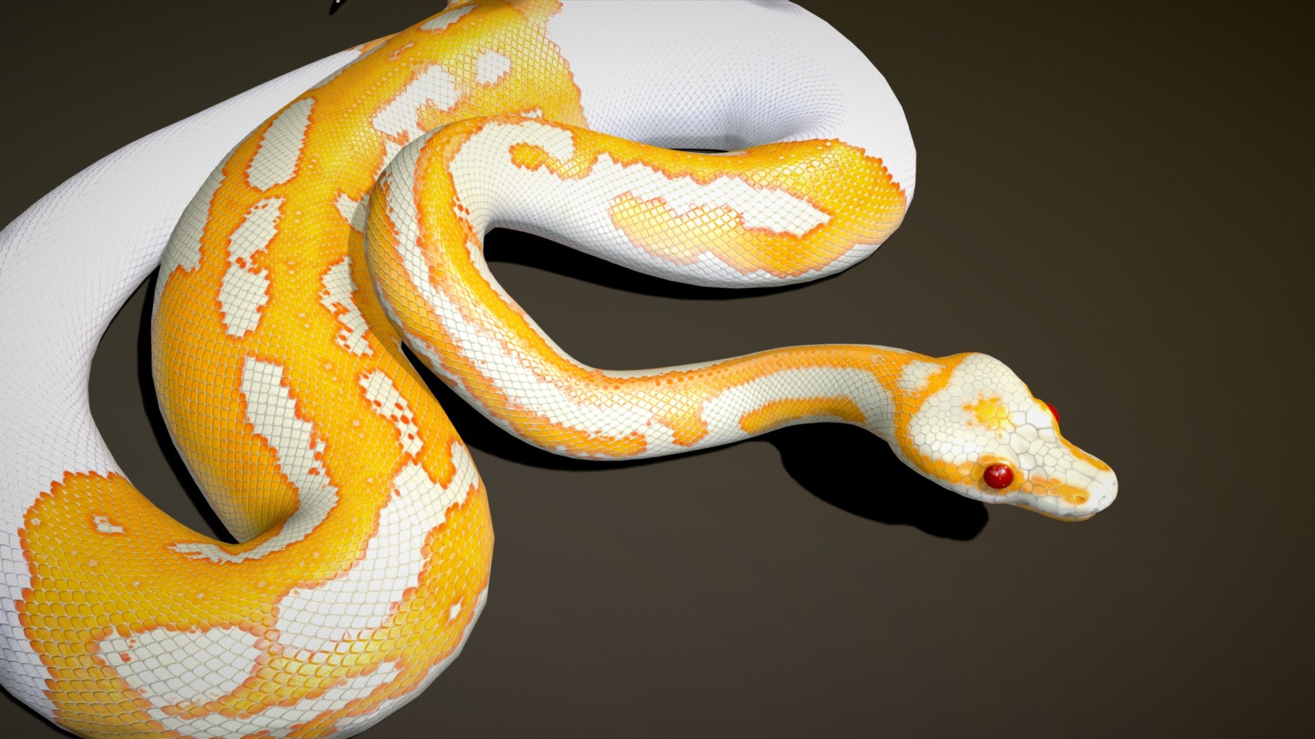 Dreamsicle Ball Python - deep3dsea