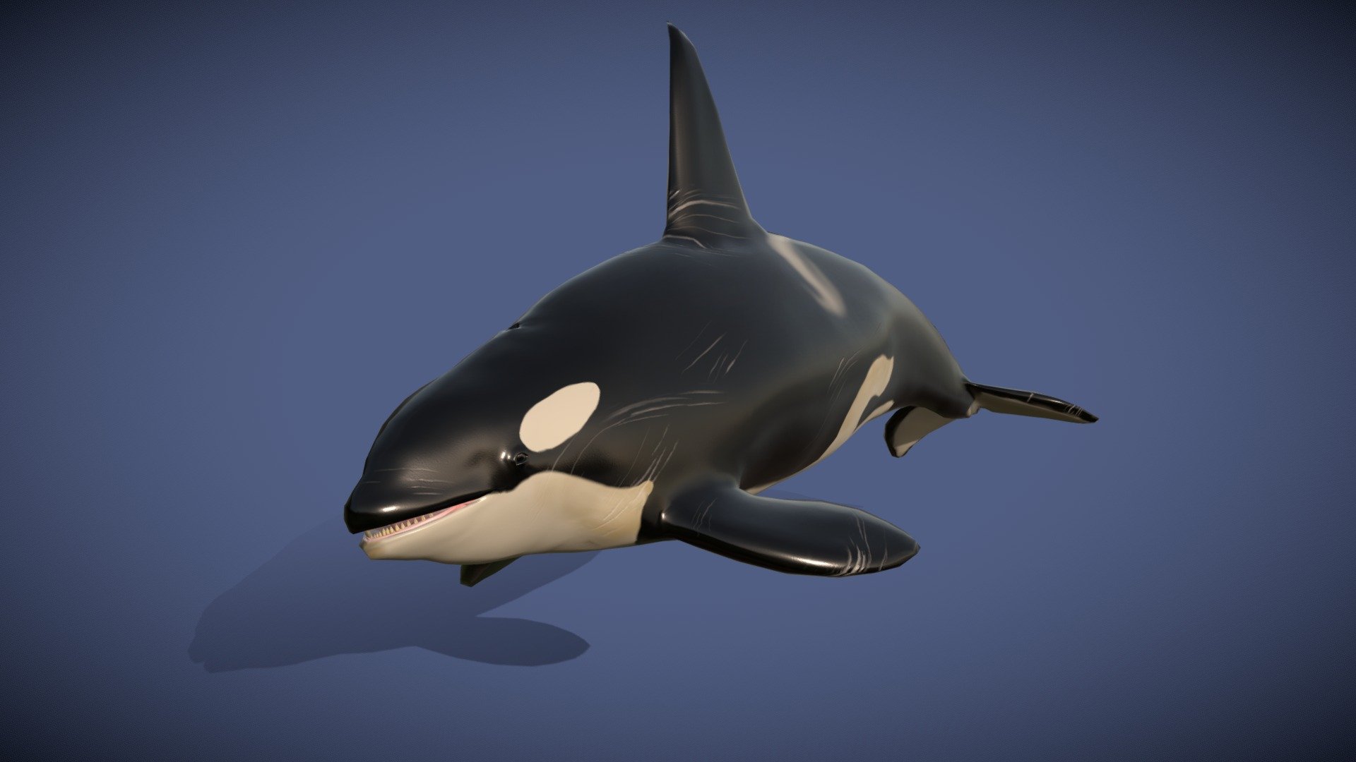 Orca - deep3dsea