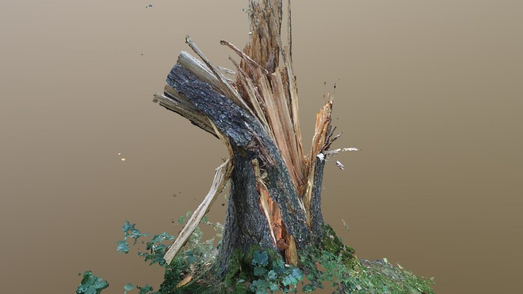Split tree - deep3dsea