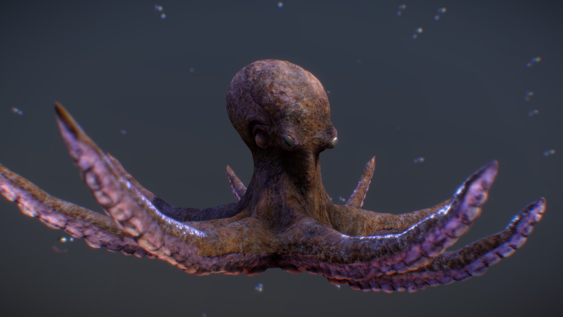 Swimming Octopus - deep3dsea