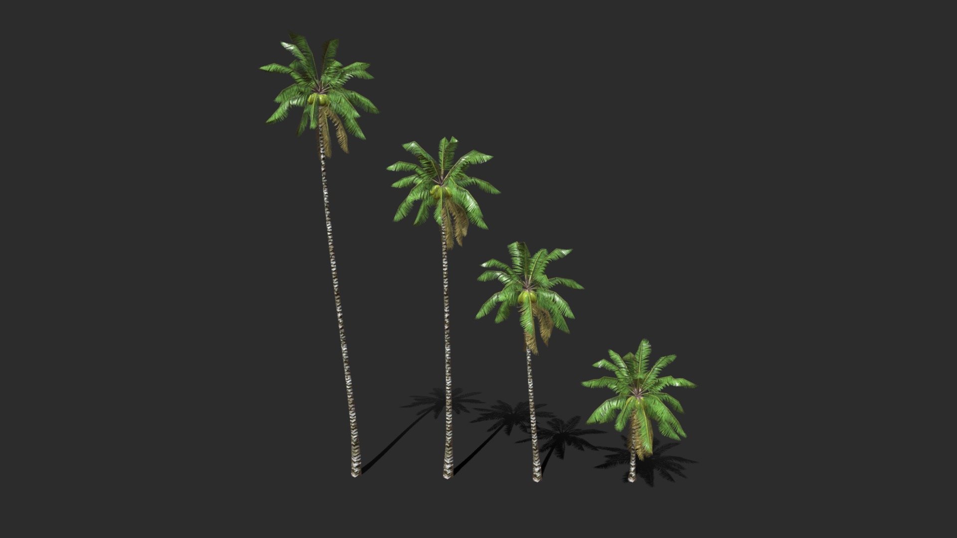 Coconut Palm Trees-01 - deep3dsea