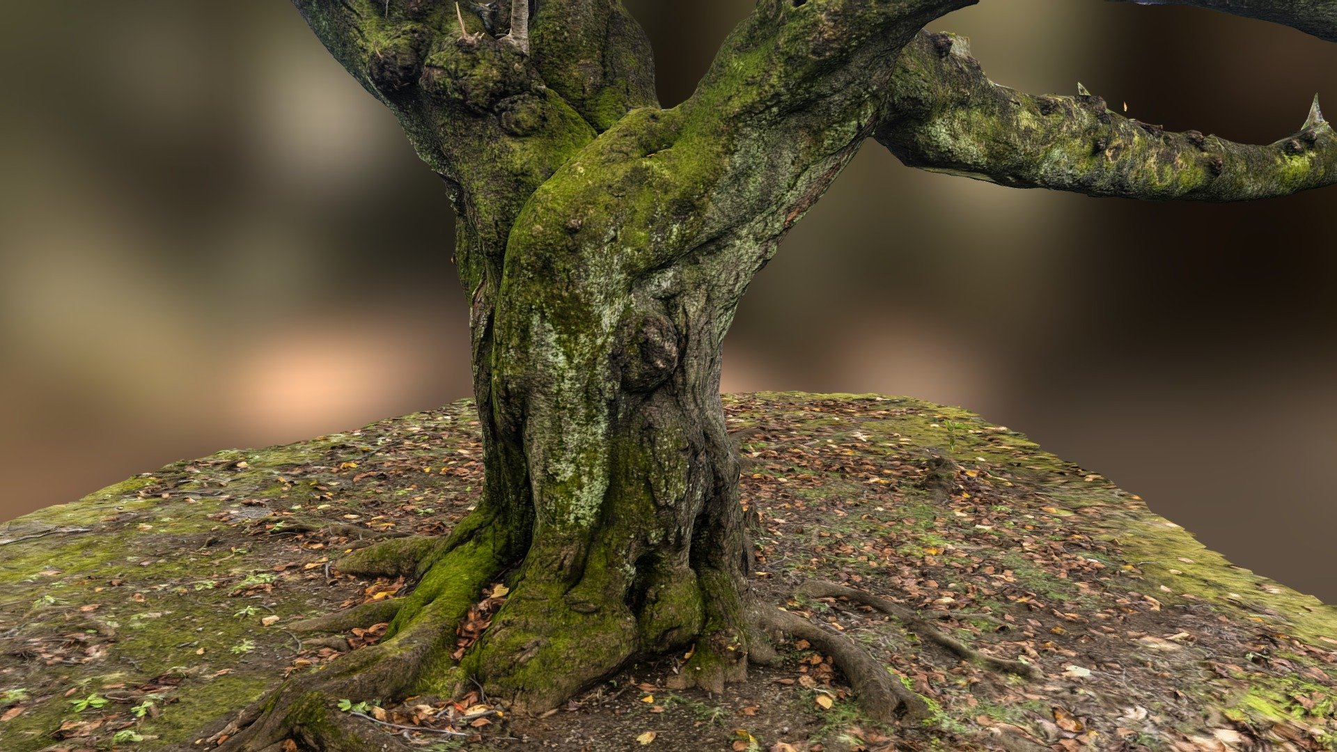 Mossy tree with big branches scan - deep3dsea