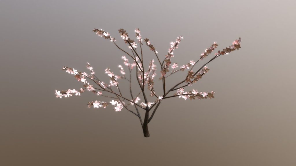 Sakura Tree - deep3dsea