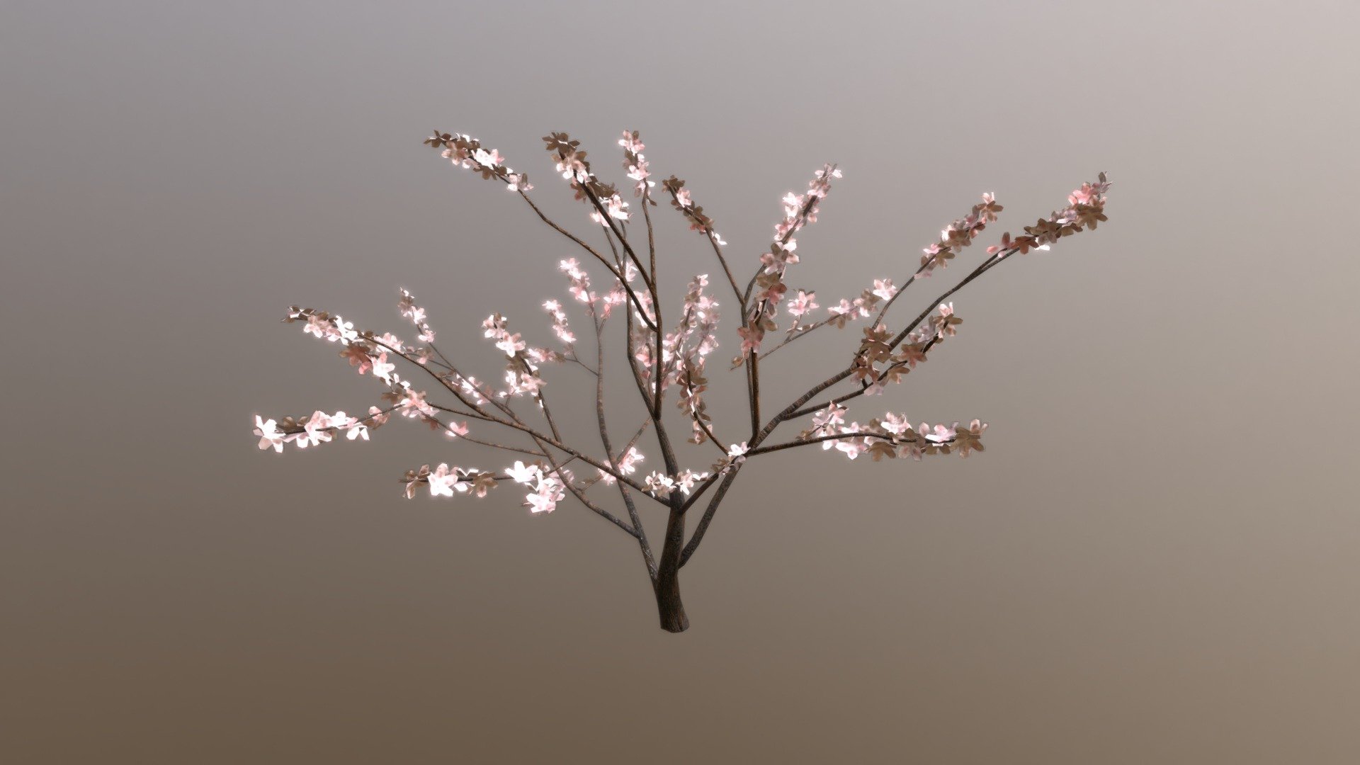 Sakura Tree - deep3dsea