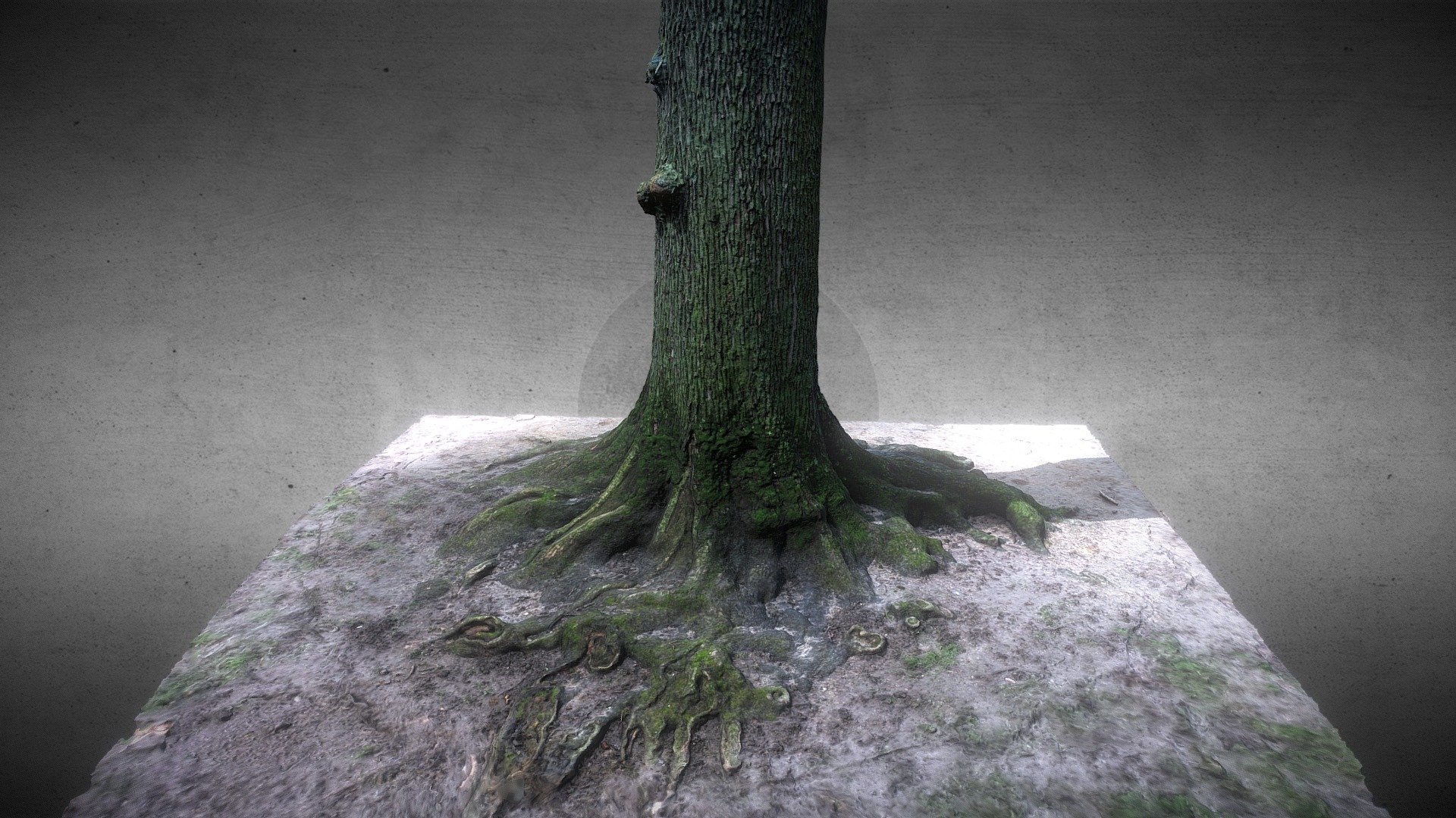 Tree 01 - deep3dsea