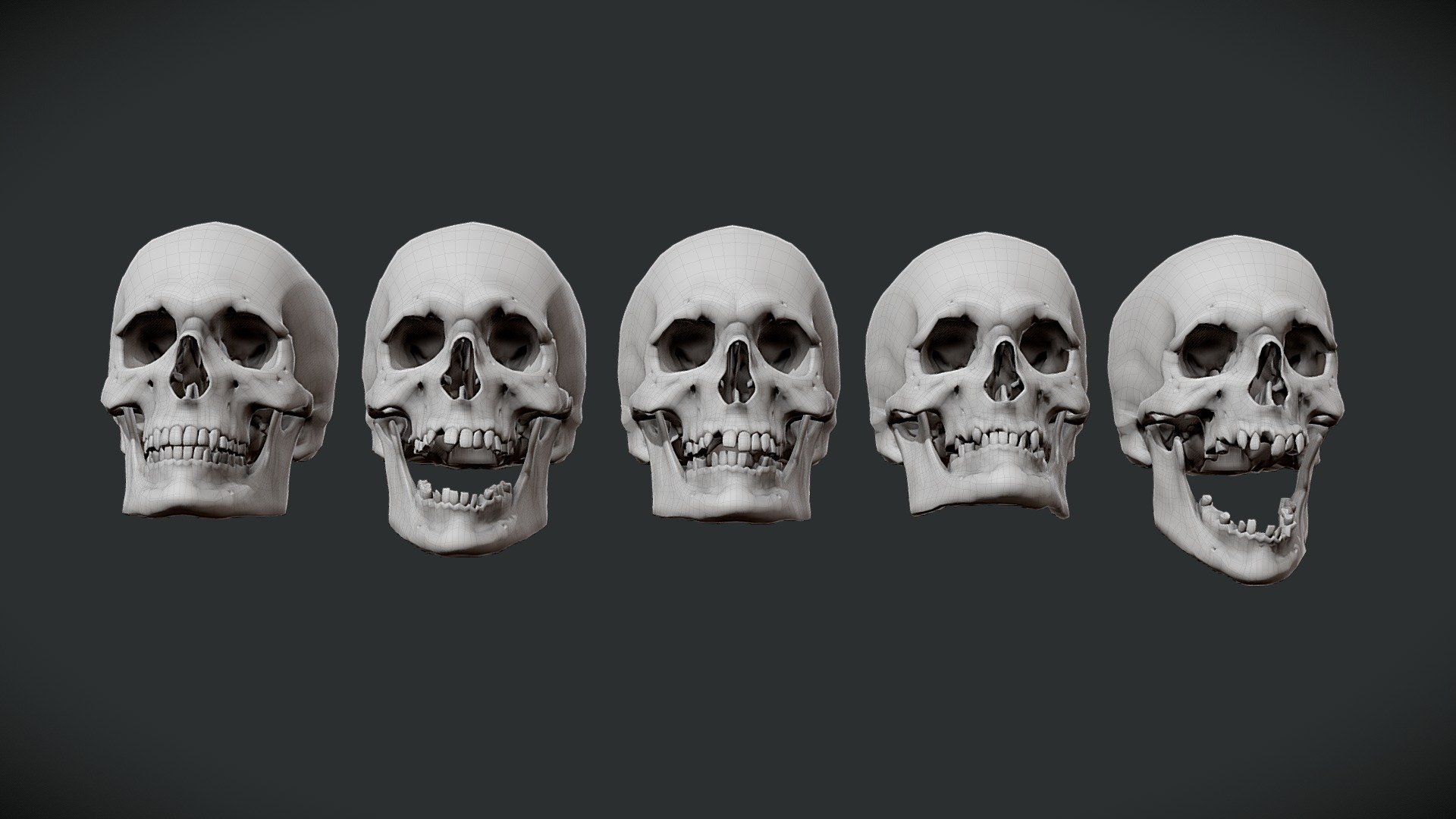 Download Various Male Skulls (low And Highpoly Avaliable) 3D Model ...