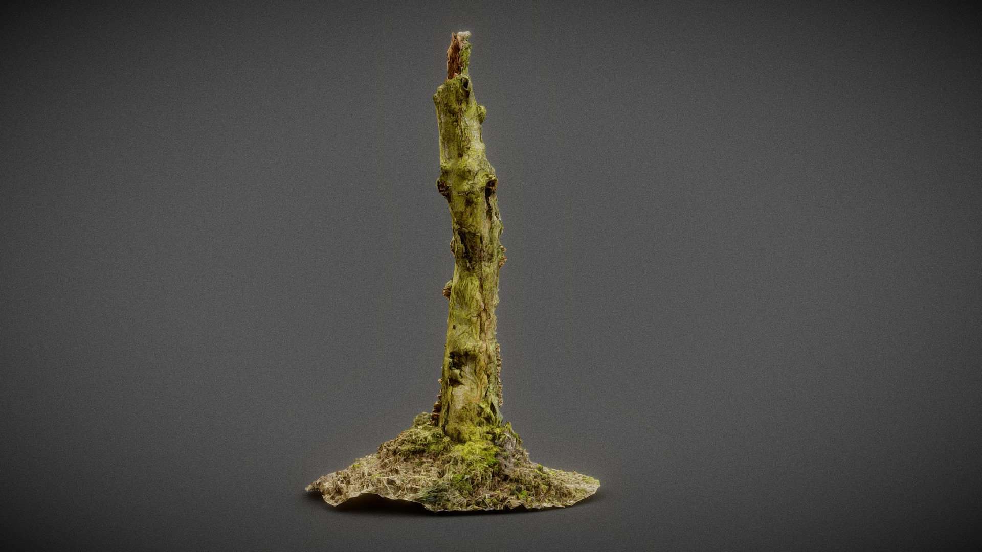 Cute Stump - deep3dsea