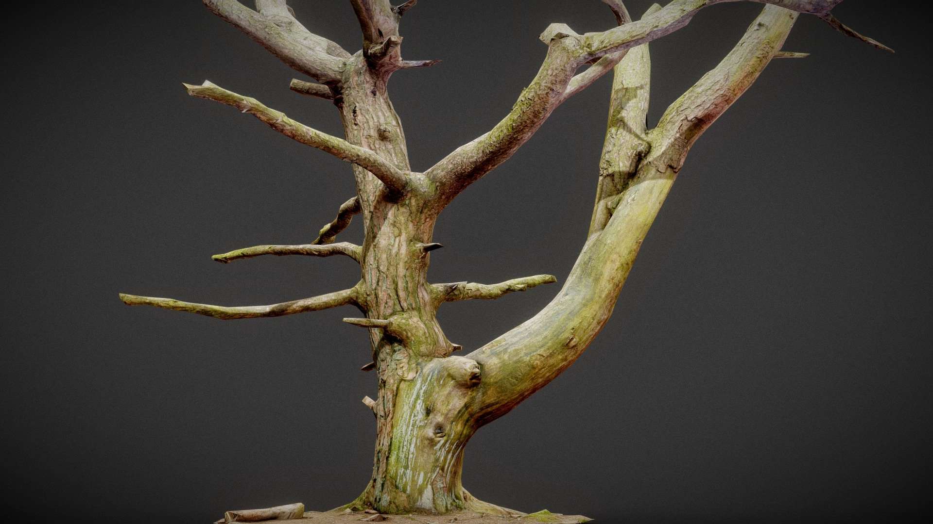 Dancing Tree - deep3dsea