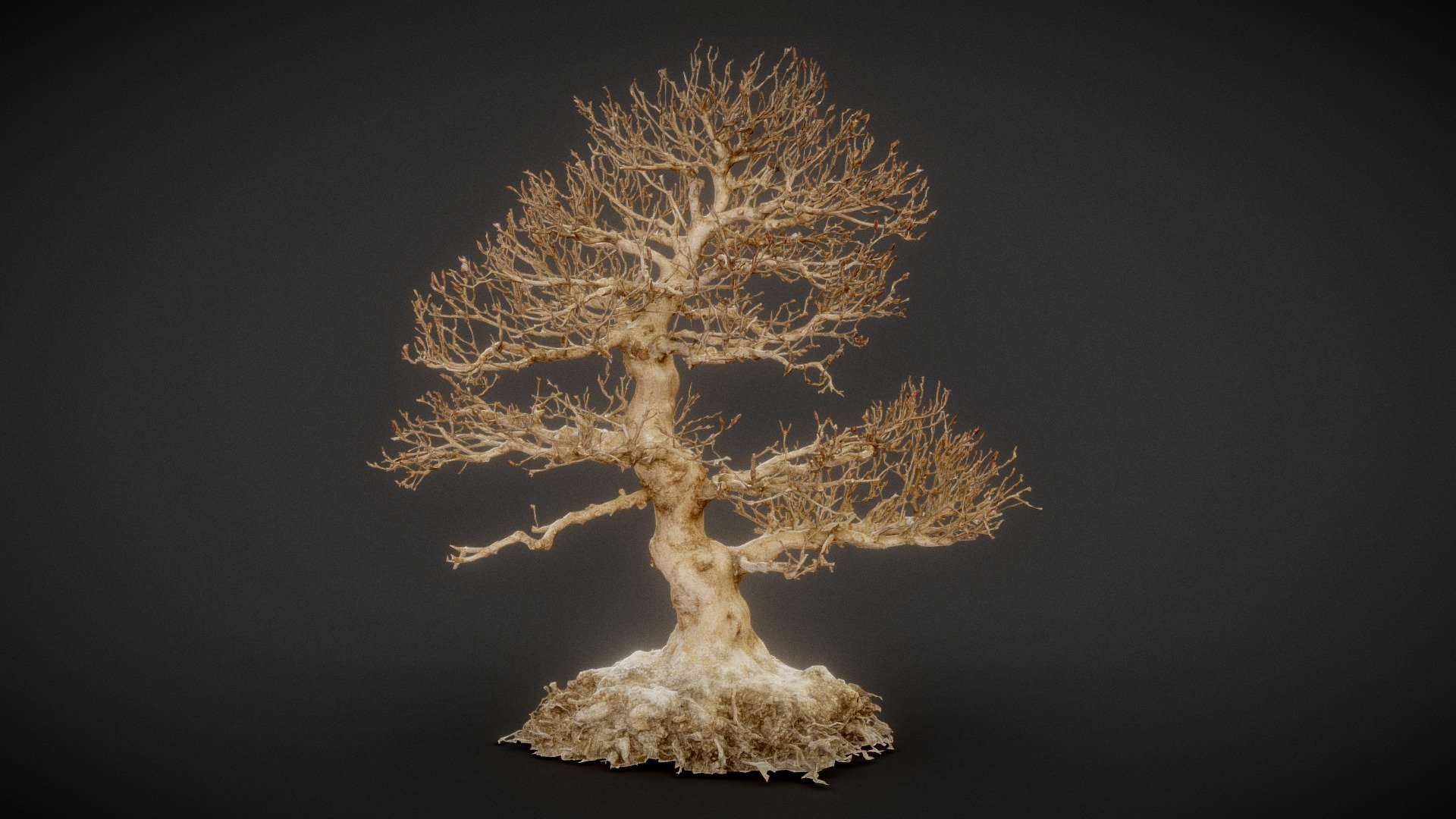 Dead Bonsai 1 - deep3dsea