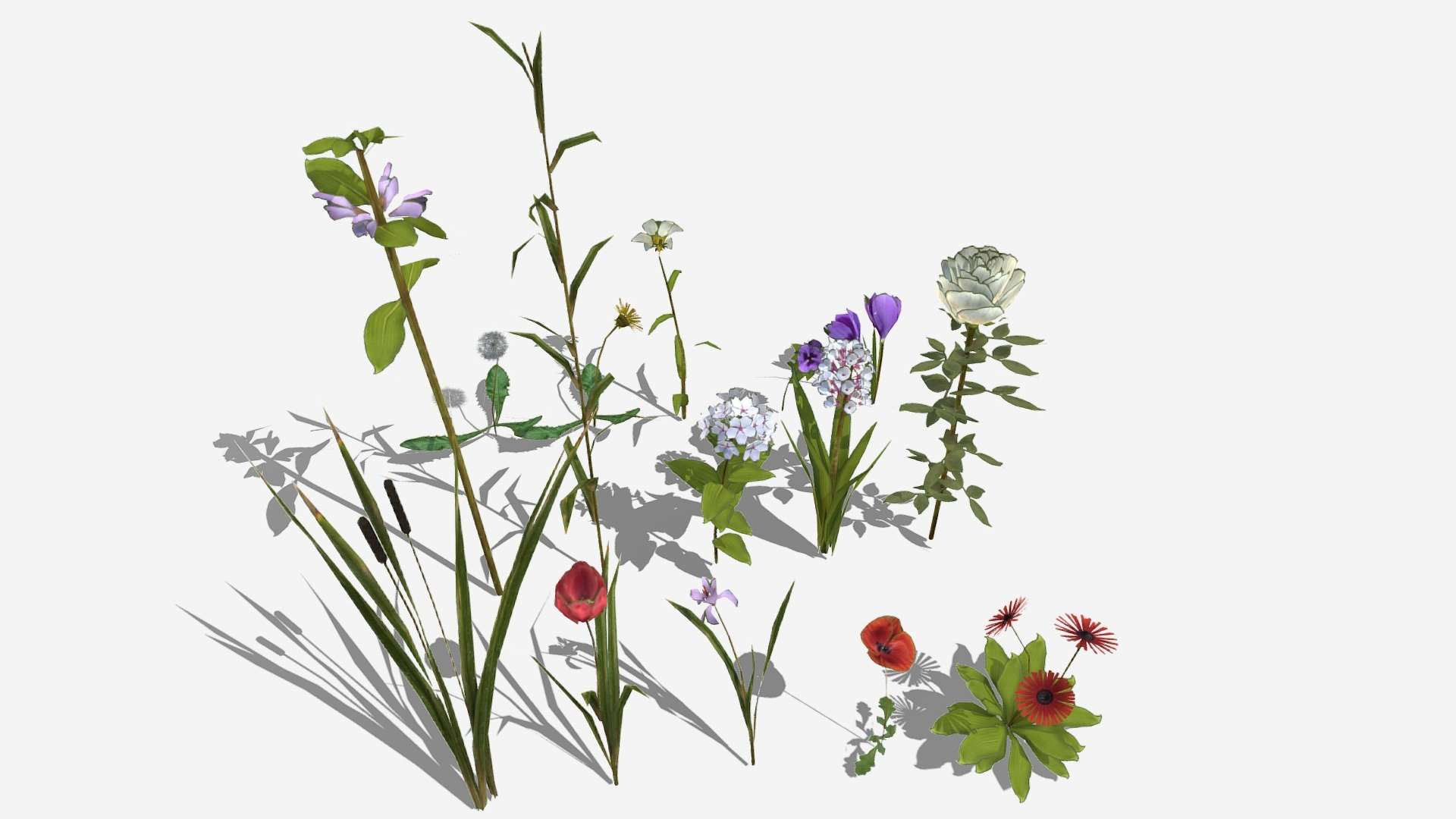 Download Flowers Grass 3D Model | deep3dsea