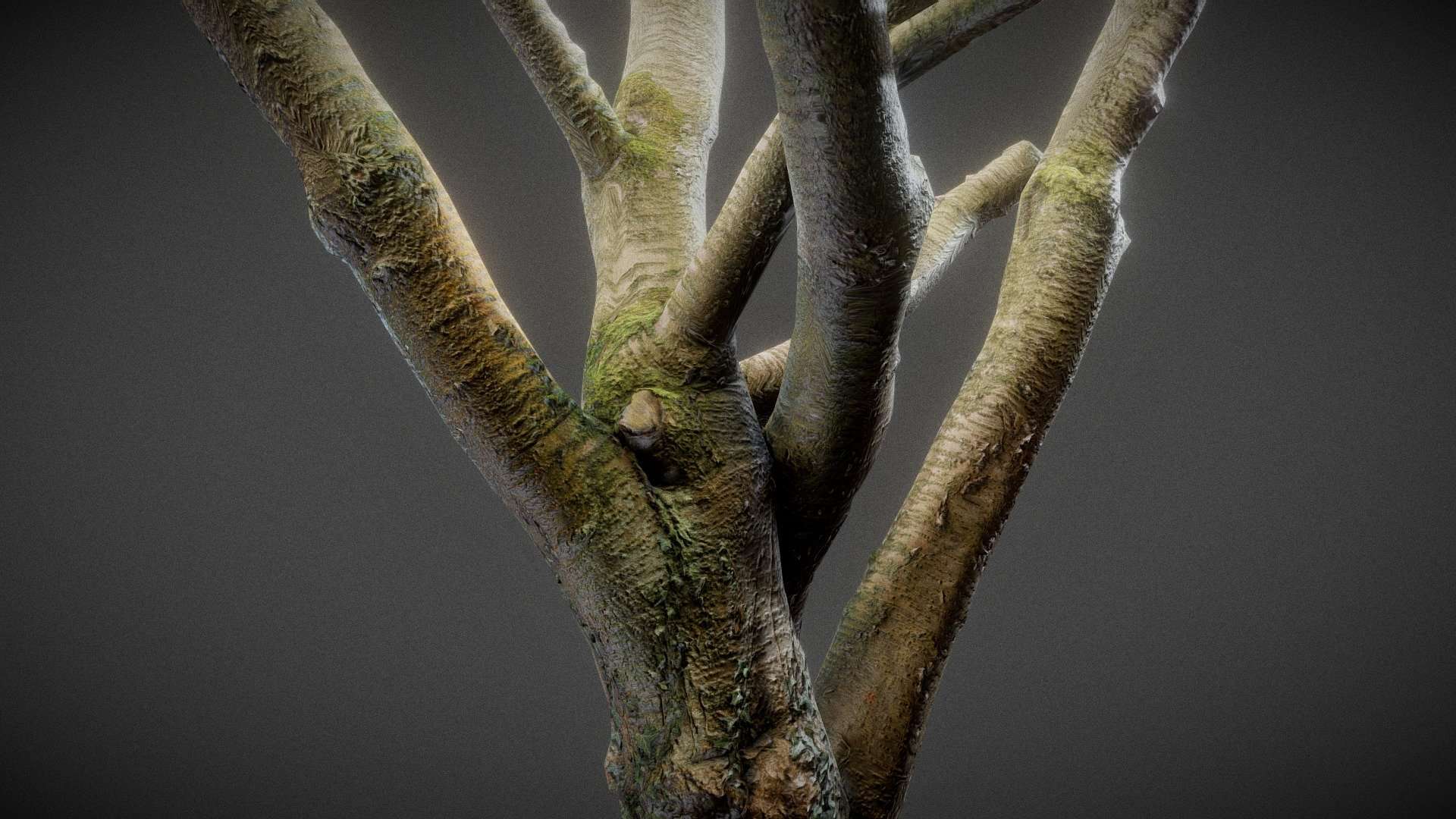 Intense Tree - deep3dsea