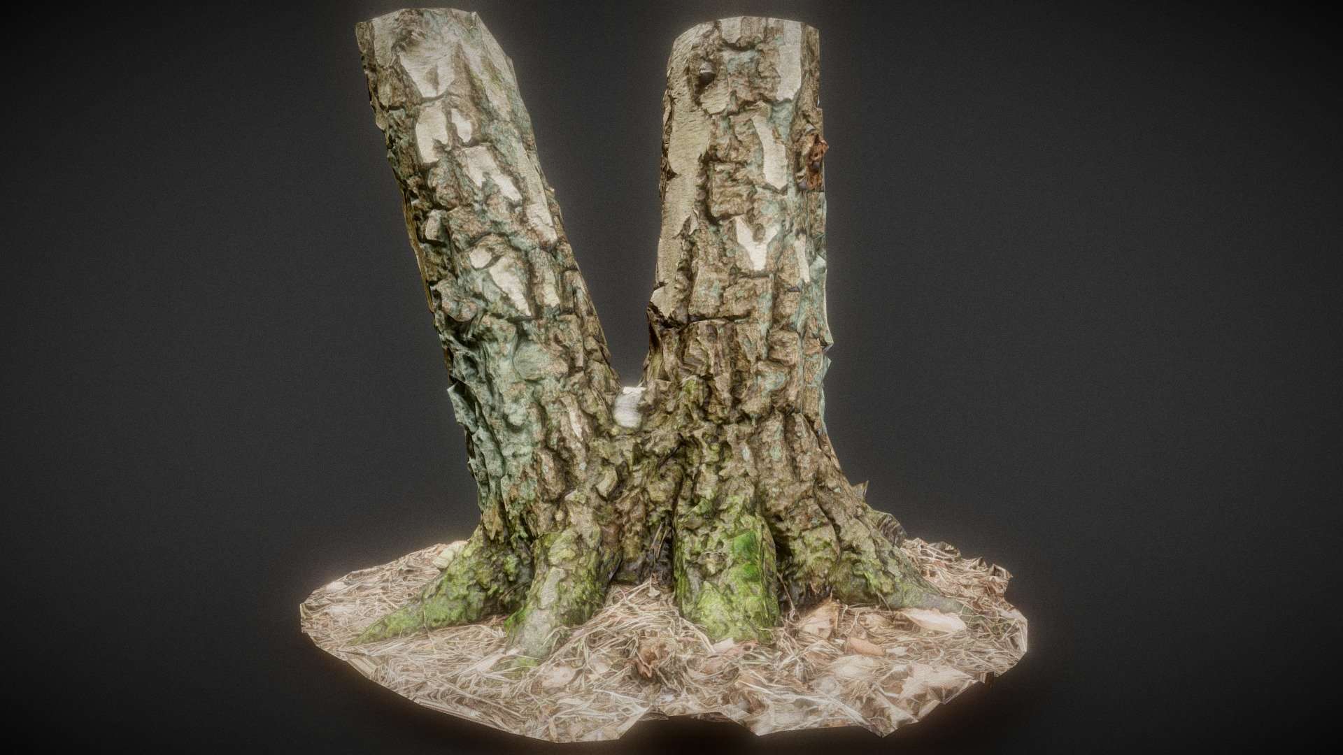 Split Foundation Bark - deep3dsea