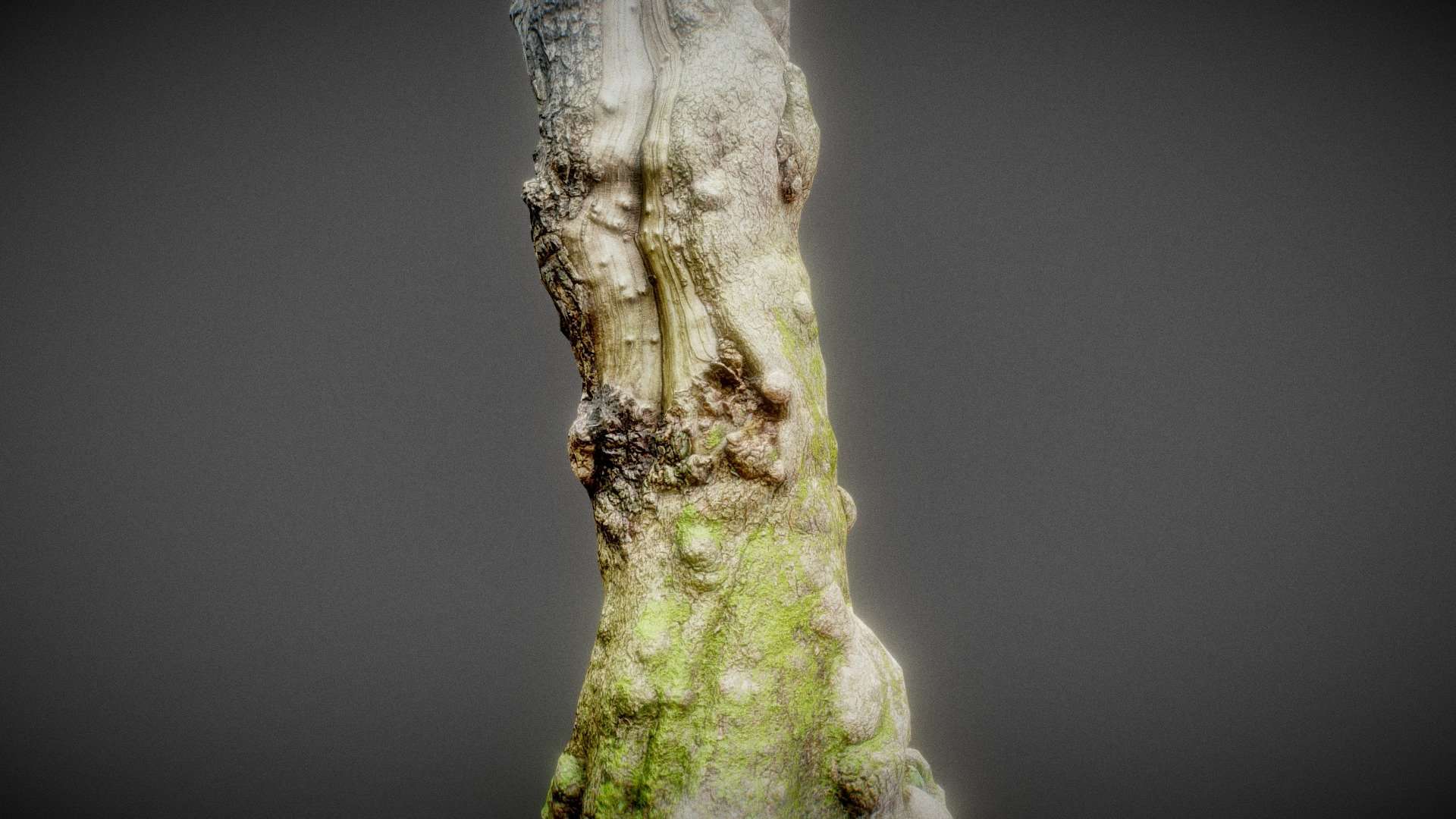 Tree 9 - deep3dsea