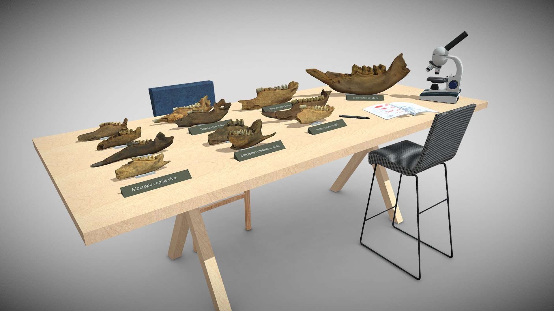 fossils Archives - deep3dsea