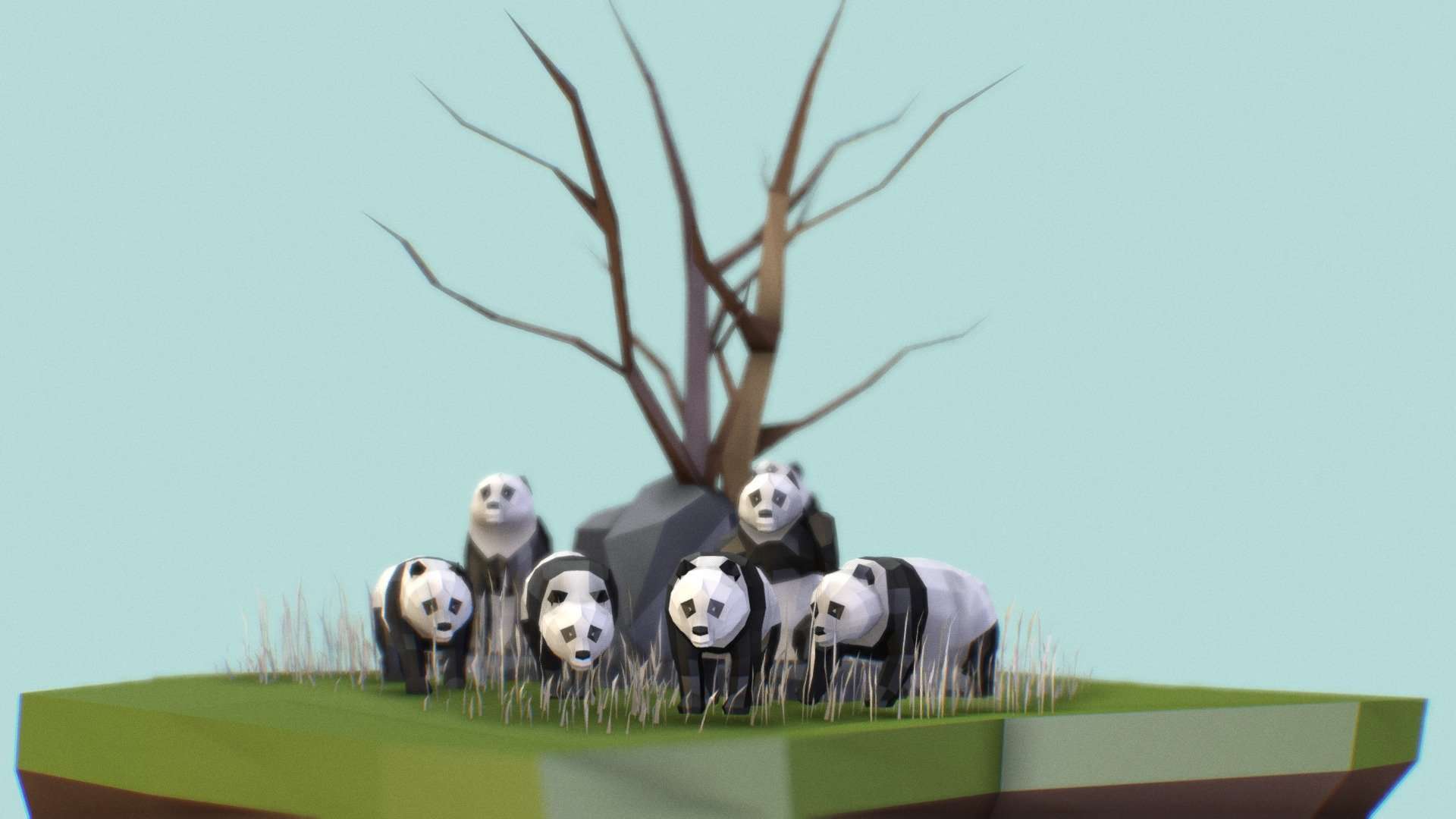 Panda Bears - deep3dsea