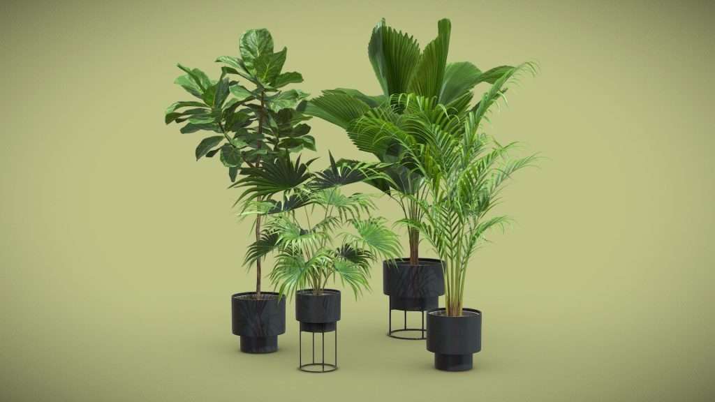 Indoor Plants Pack 53 - deep3dsea