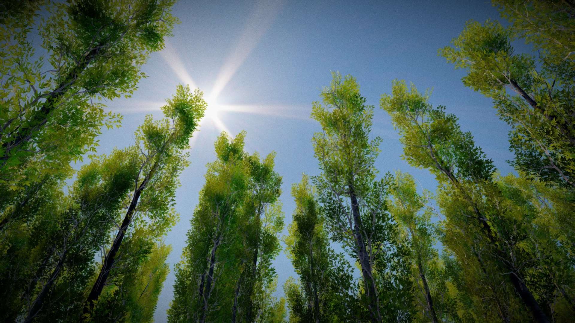 Long Trees Collection - deep3dsea