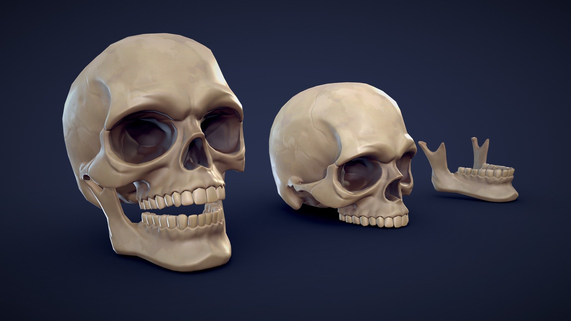 Download Stylized Human Skull – Low Poly 3D Model | Deep3DSea