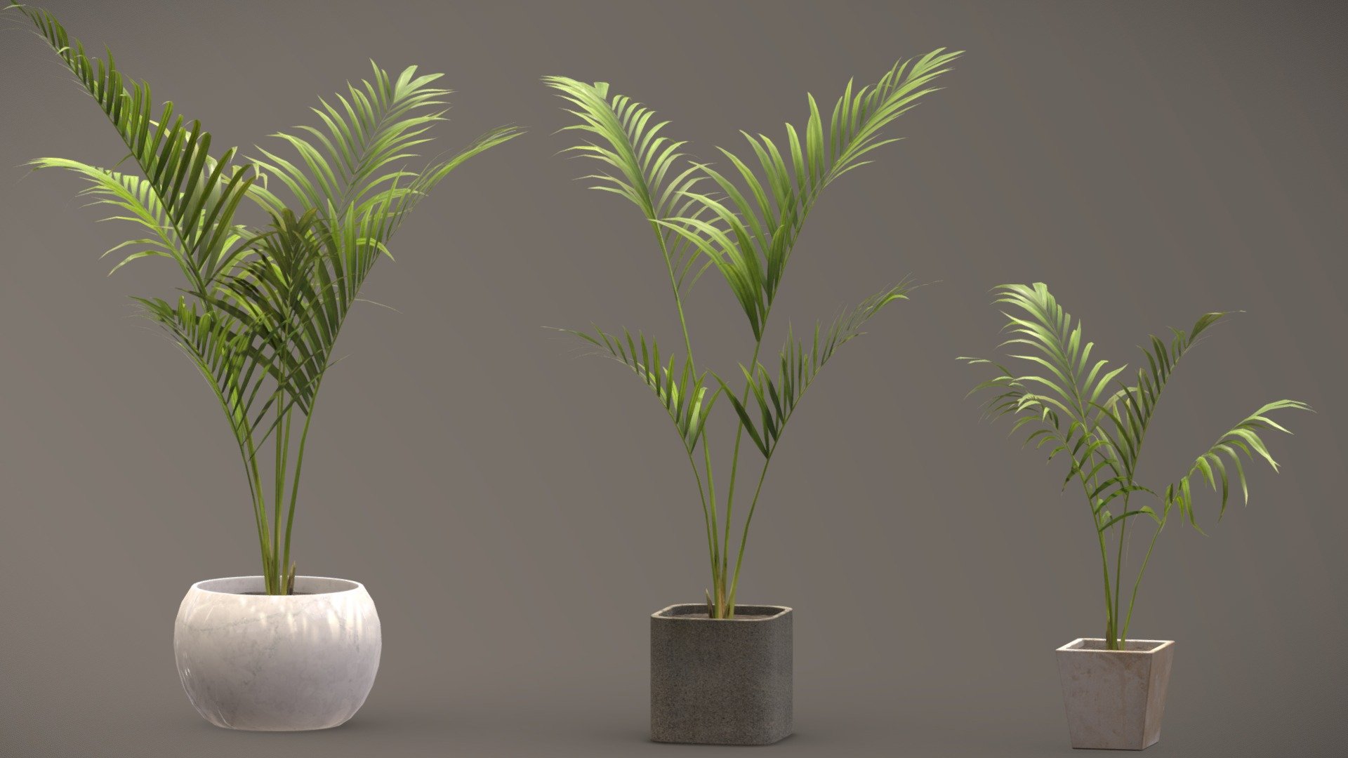 Download 100 Nature & Plants 3d Models Collection 3D Model | Deep3DSea