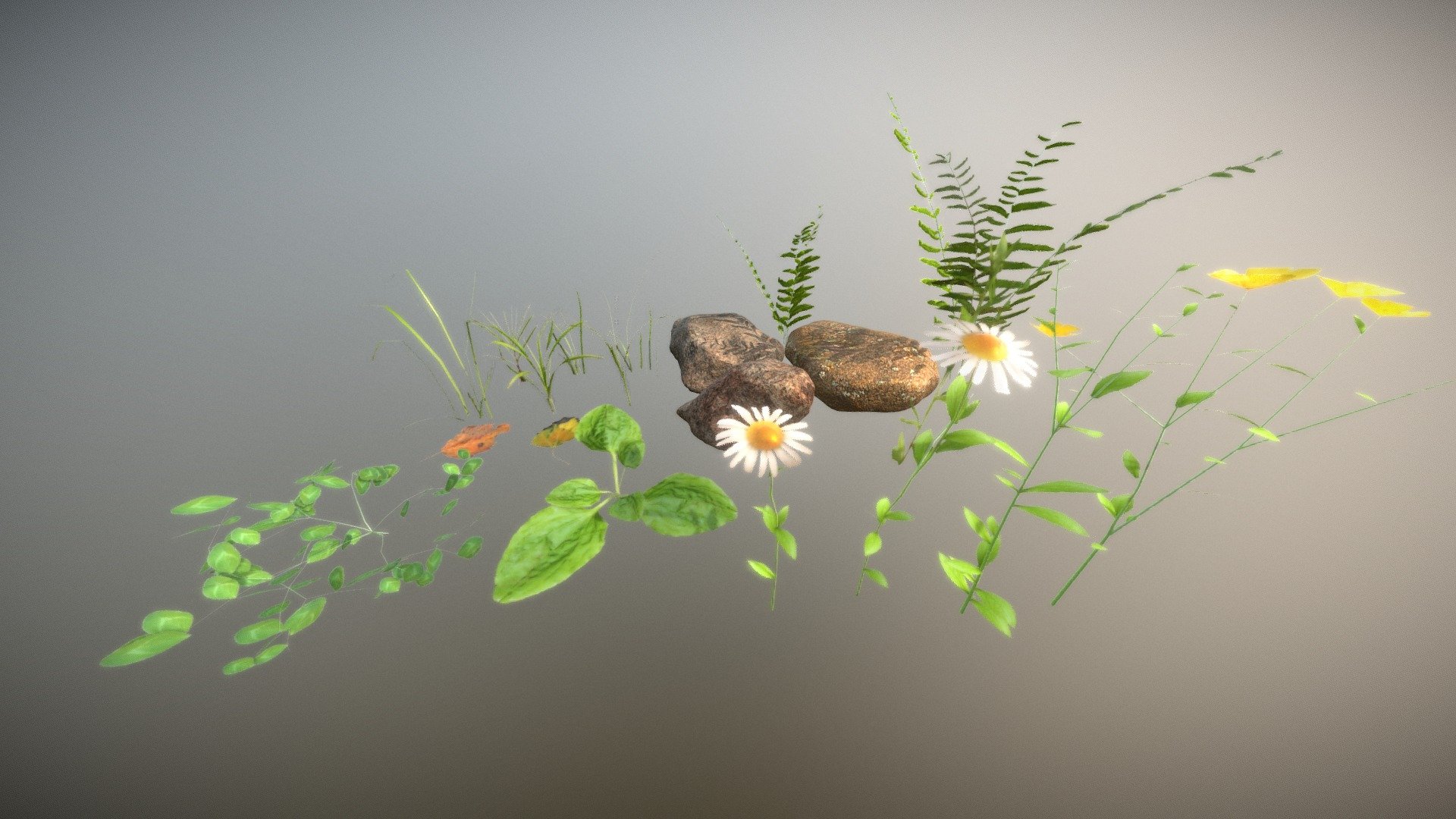 Download 100 Nature & Plants 3d Models Collection 3D Model | Deep3DSea